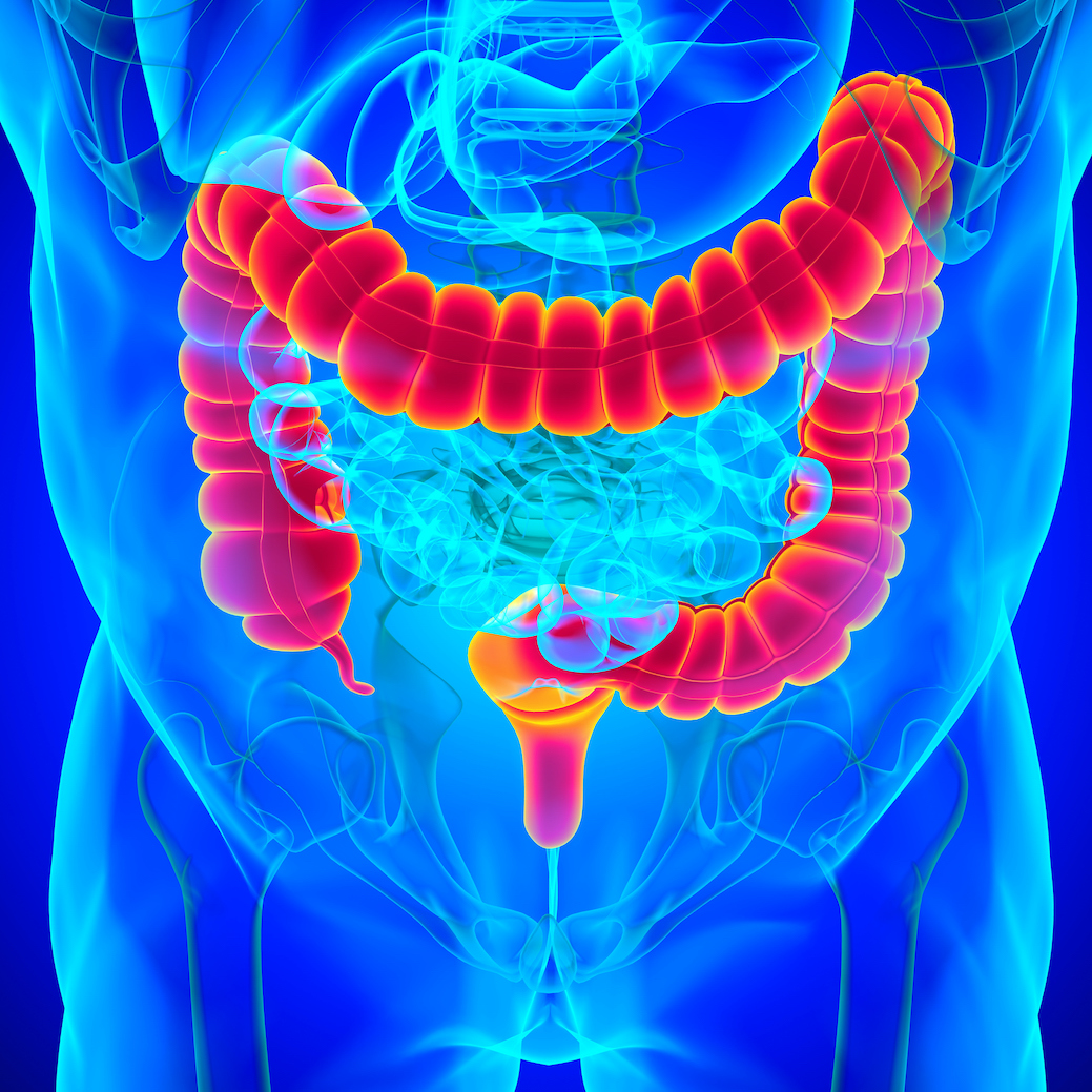 Colon Cancer Screening and Guidelines – Hưu Trí