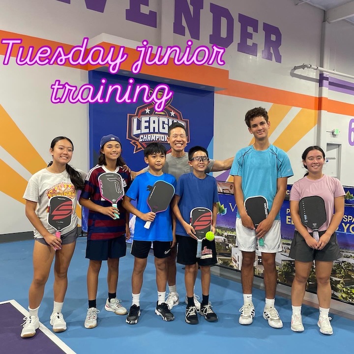 Building Community Through Pickleball: A Conversation with Lavender ...